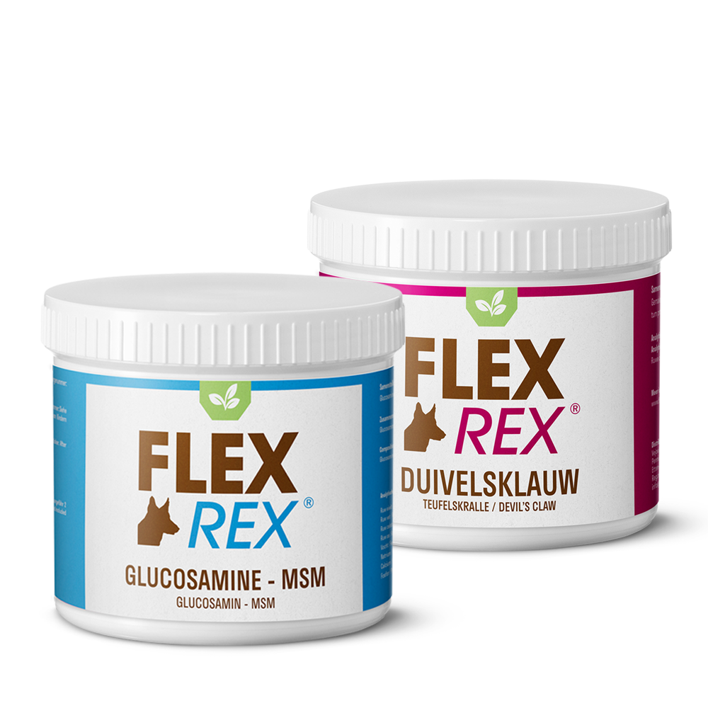FlexRex Senior Combi Deal - HorseFlex
