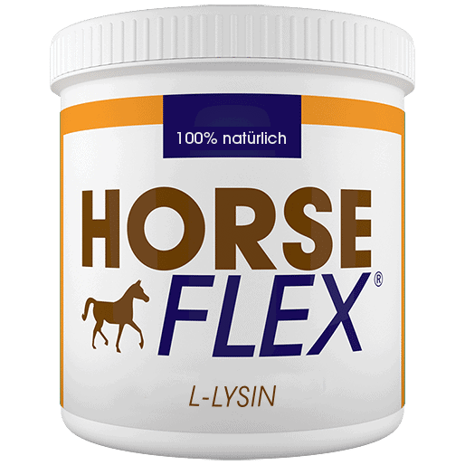 L-Lysin für Pferde - HorseFlex - Unterstützt das Immunsystem